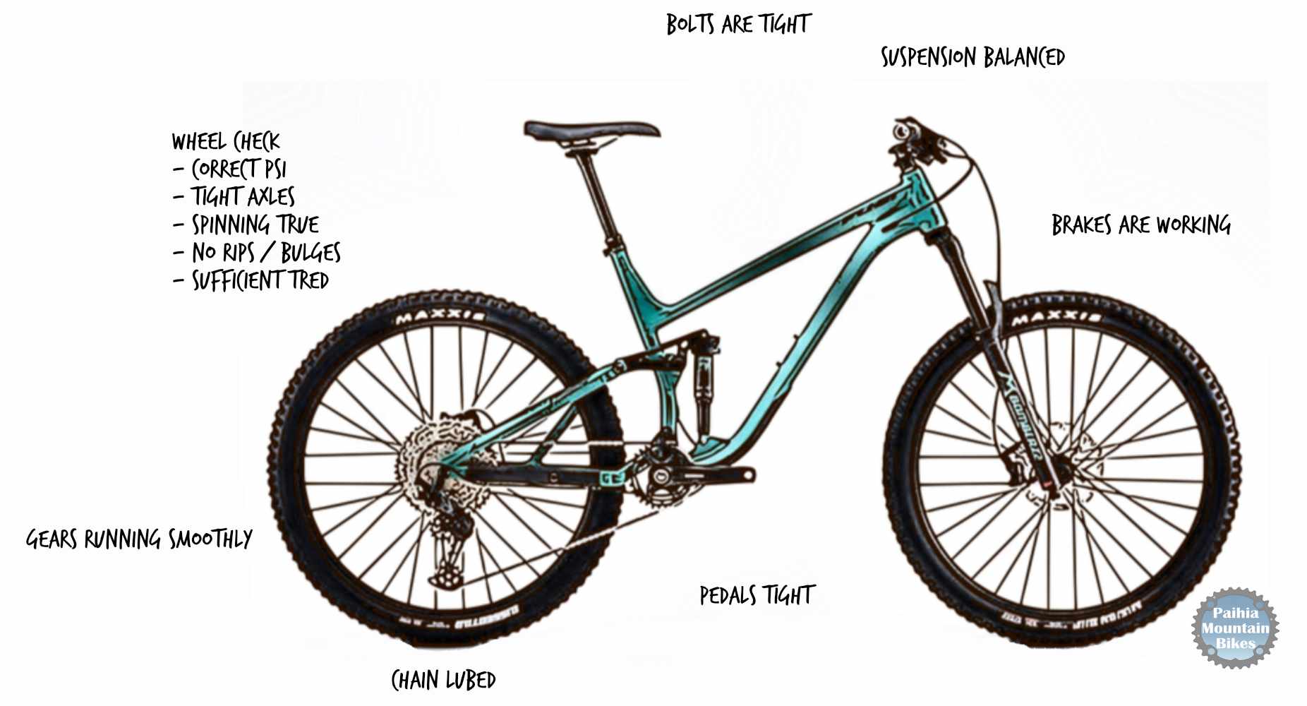 Blog | Paihia Mountain Bikes